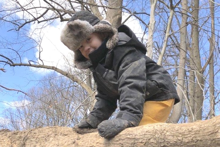 Oaks and Saplings - Nature Forward