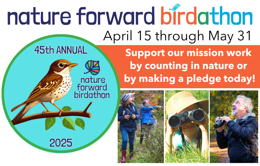 - Nature Forward