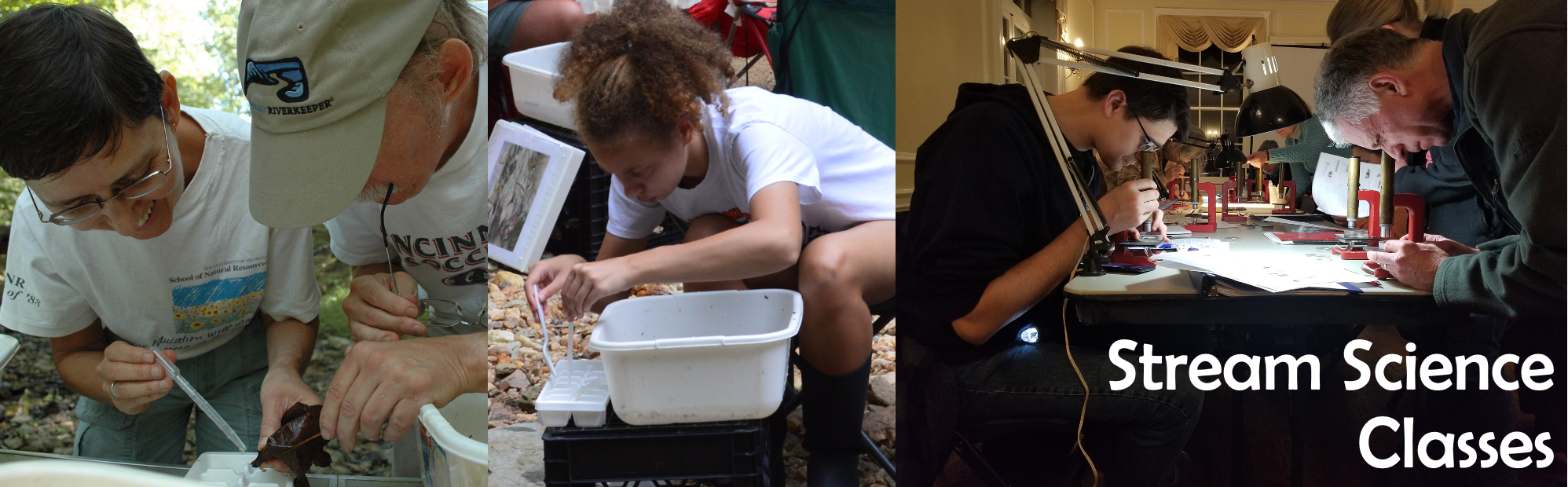 Self-Paced Online Stream Science Classes - Nature Forward