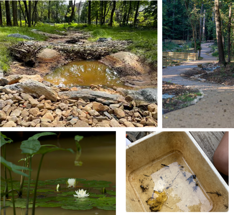 Woodend Stream Restoration Project Overview - Nature Forward