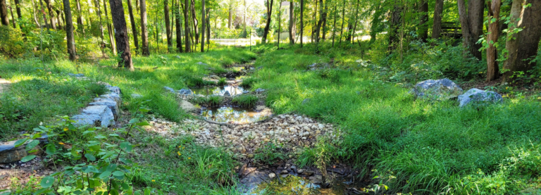 Visit - Nature Forward