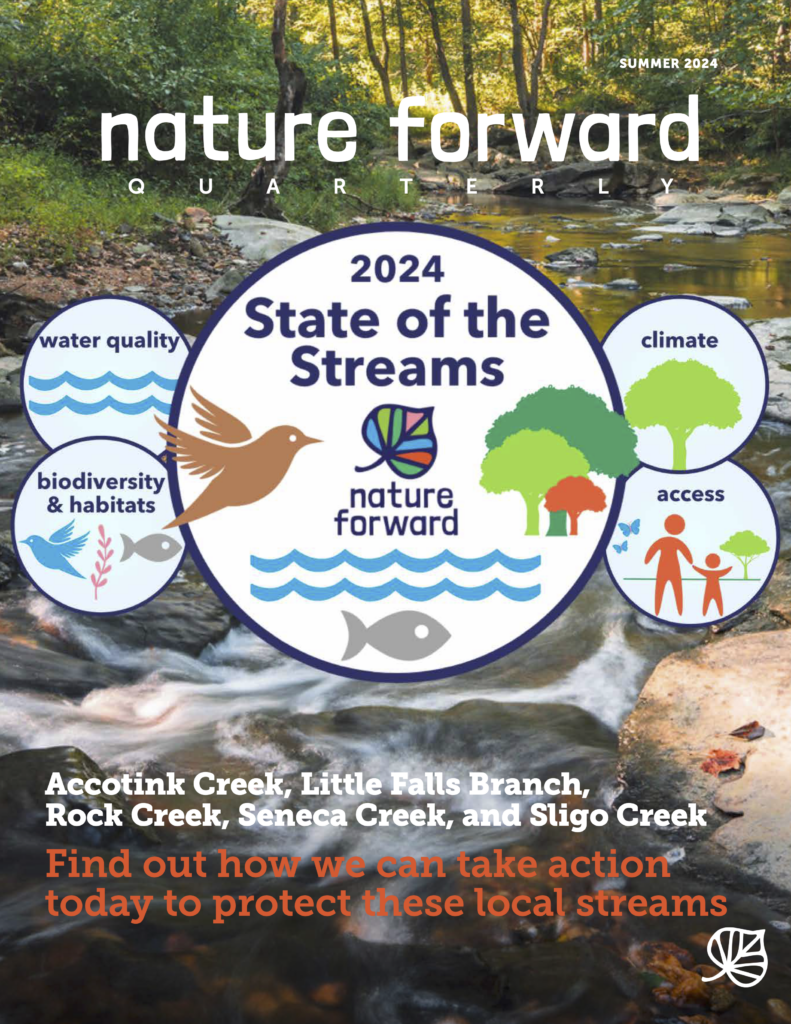 Nature Forward Quarterly Summer 2024 - Nature Forward