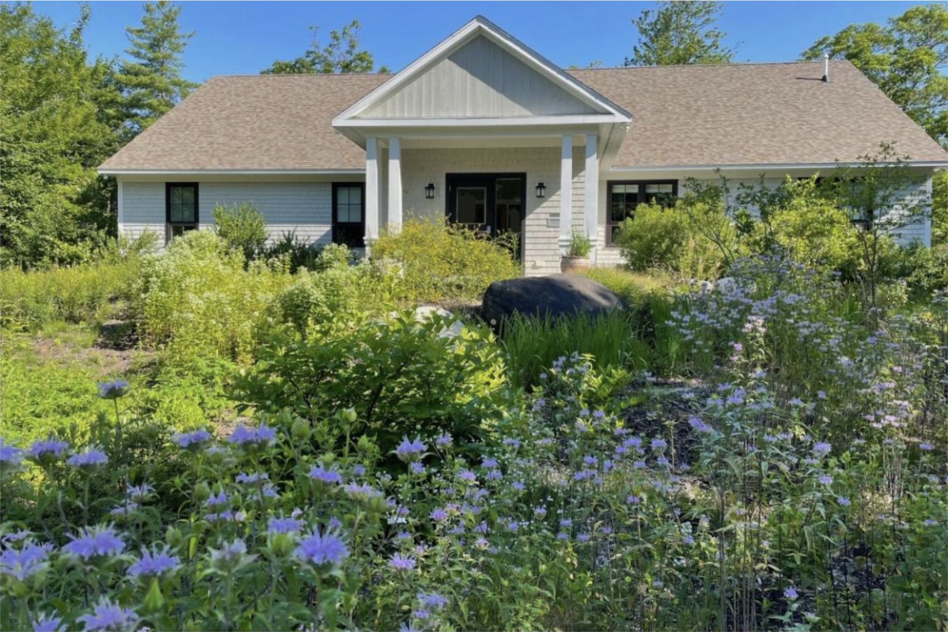 increasing biodiversity by creating an eco-friendly yard - Nature Forward