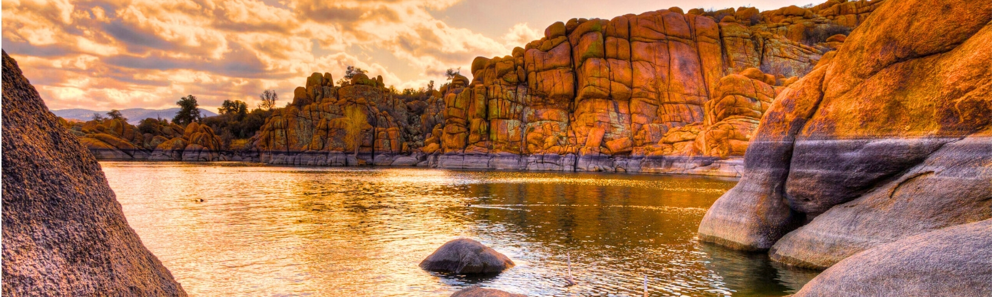 Arizona 2025 - Nature Forward