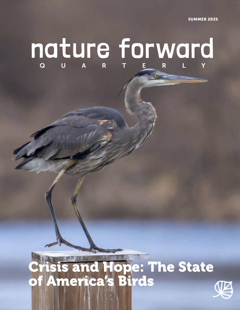 - Nature Forward