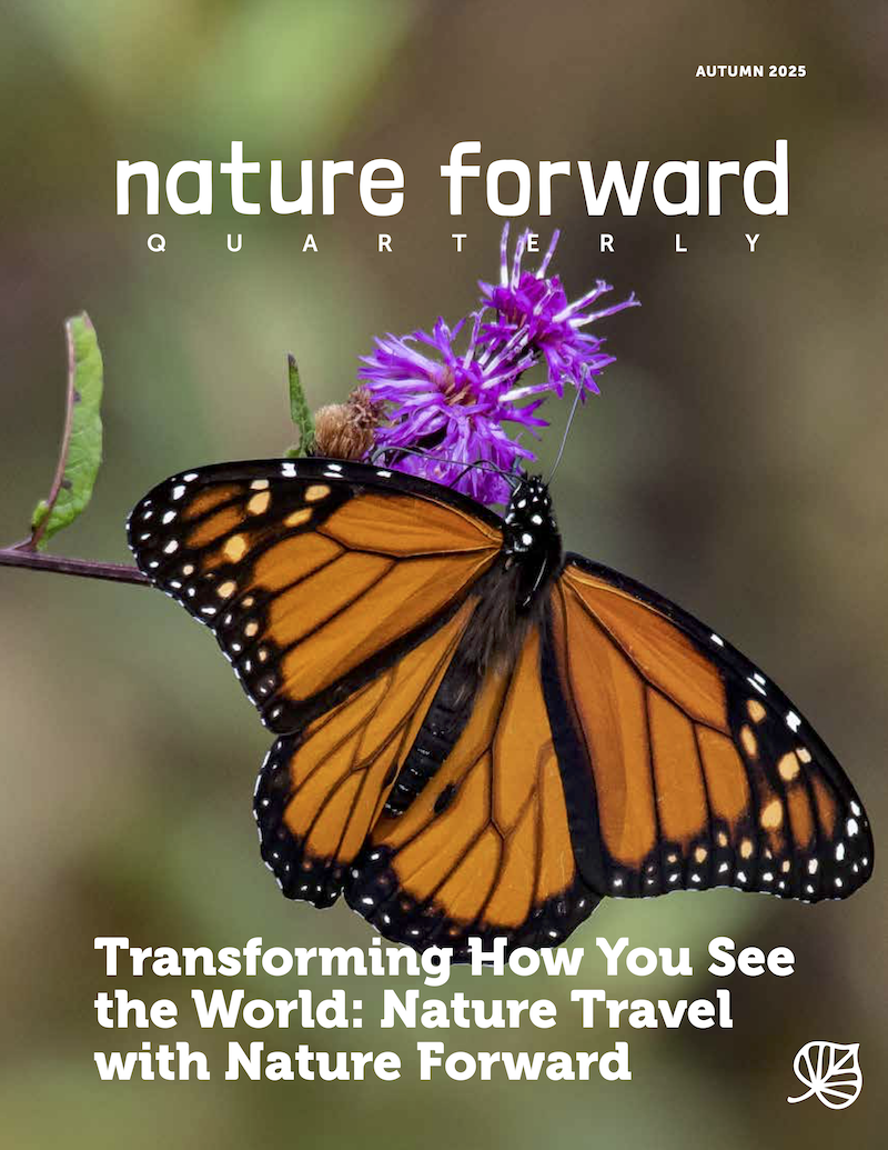 - Nature Forward