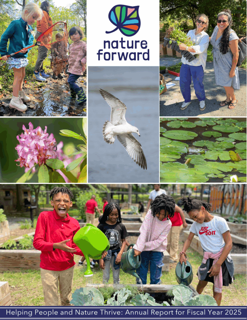 - Nature Forward
